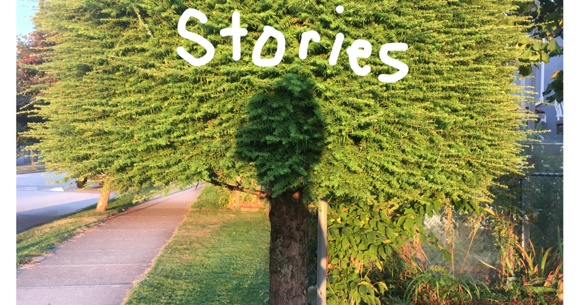 Pandemic Stories Book Launch | Emily Carr University of Art + Design