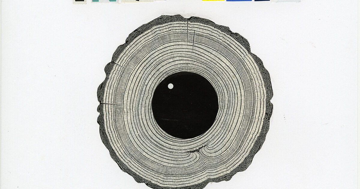 New Project Explores Intuition as Creative Force