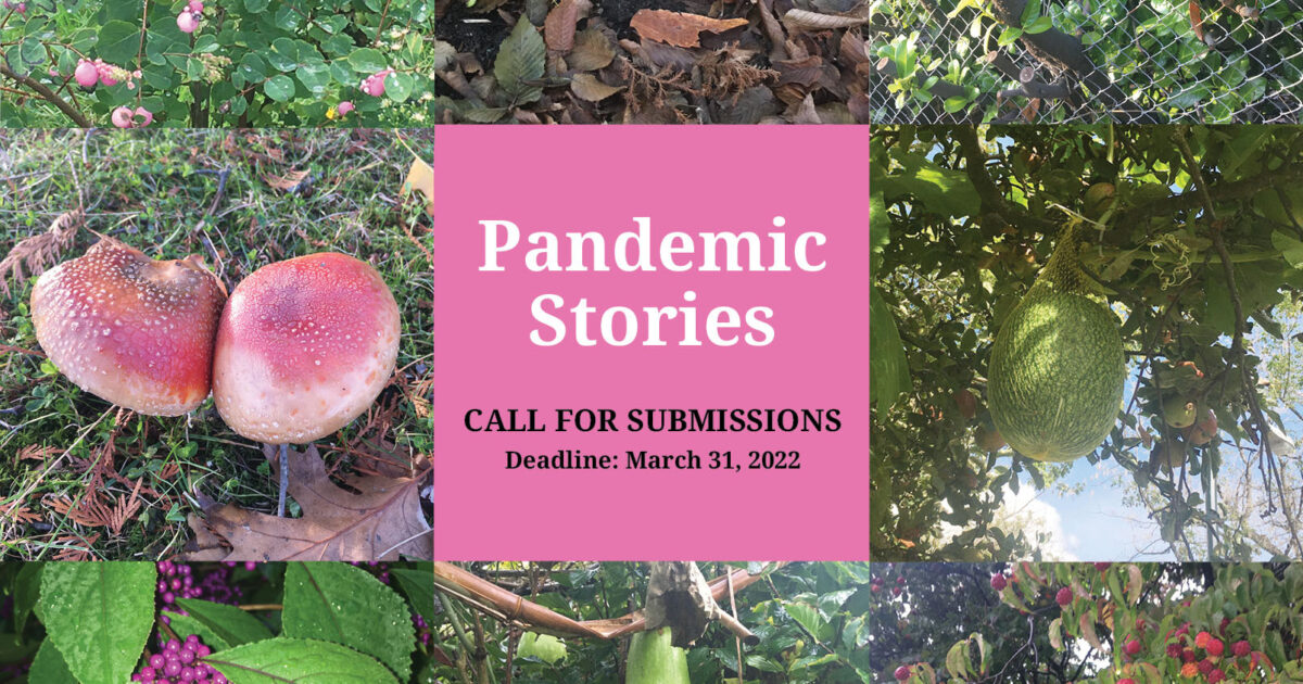Call for Submissions: Pandemic Stories Zine | Emily Carr University of ...
