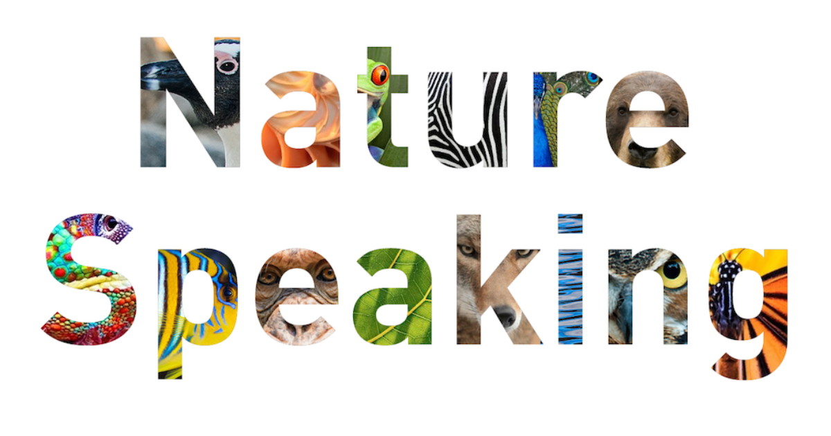 Nature Speaking Connects Students to Community and Ecology Through ...